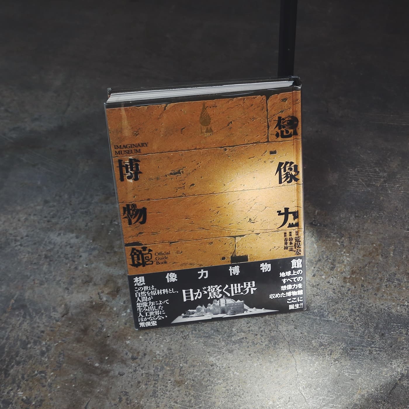 200318_insta | nostos books ノストスブックス