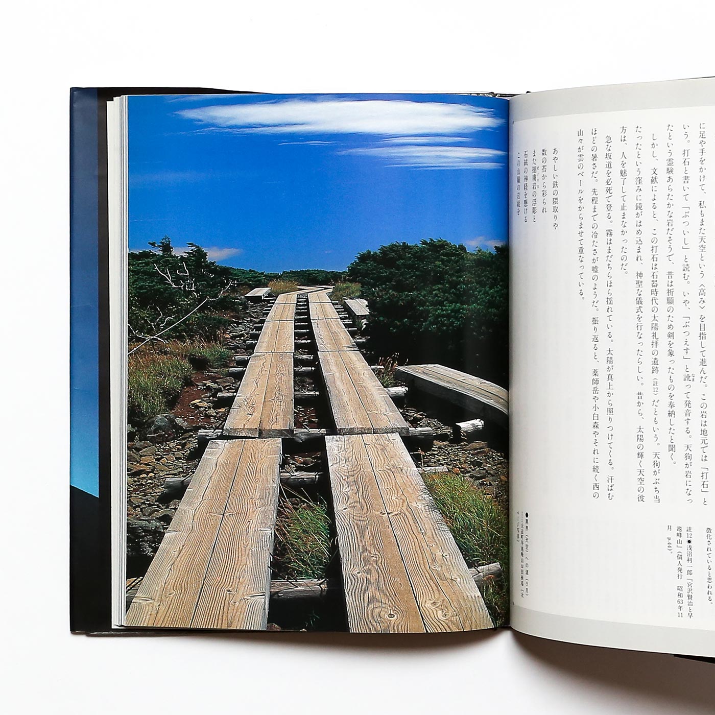 nsts-09097-4 | nostos books ノストスブックス