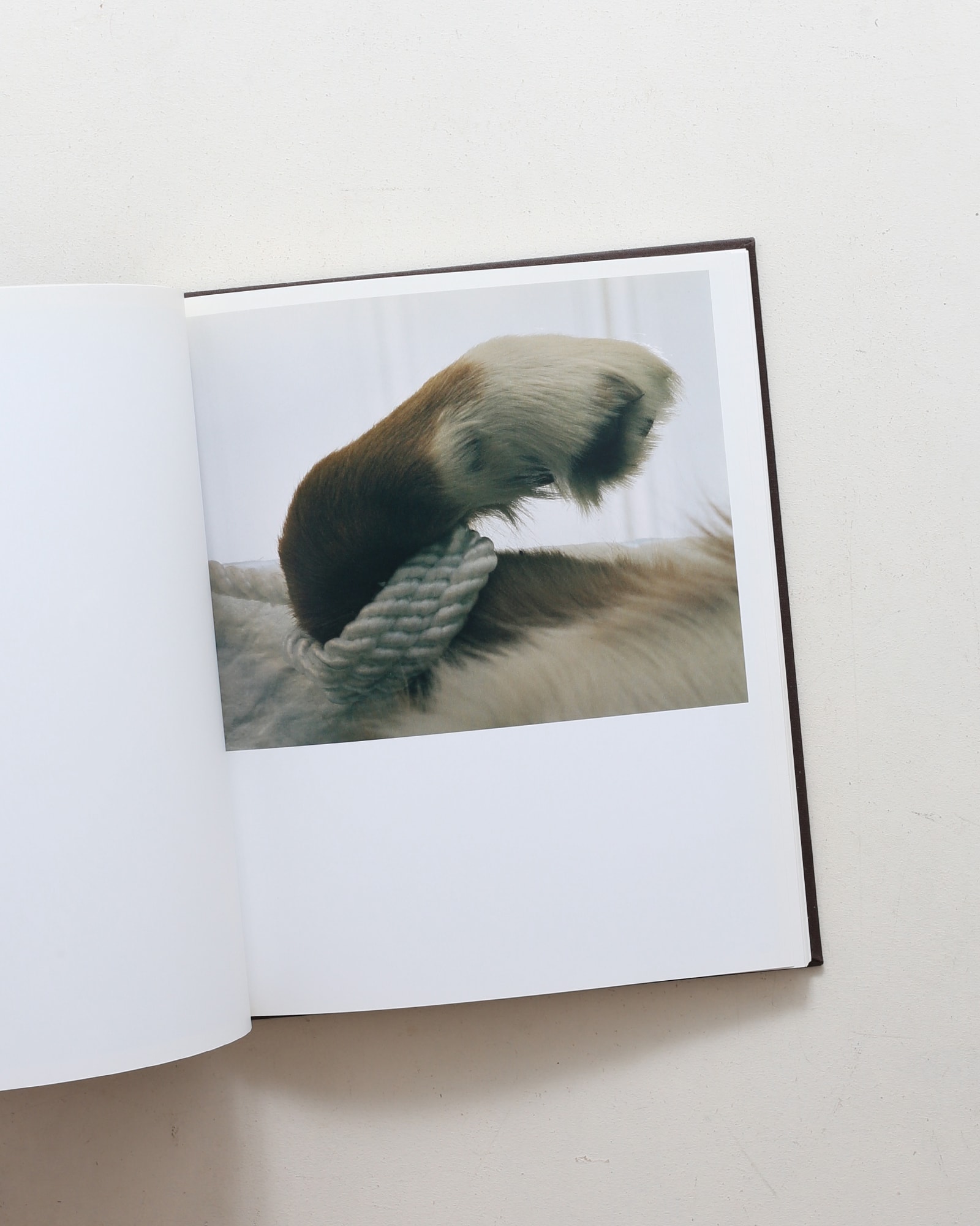 nsts-08487-06 | nostos books ノストスブックス